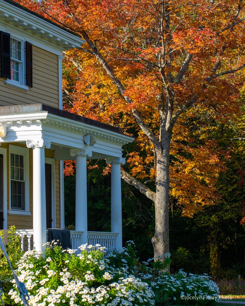 Fall Photo Sessions - Jocelyn Finlay Photo